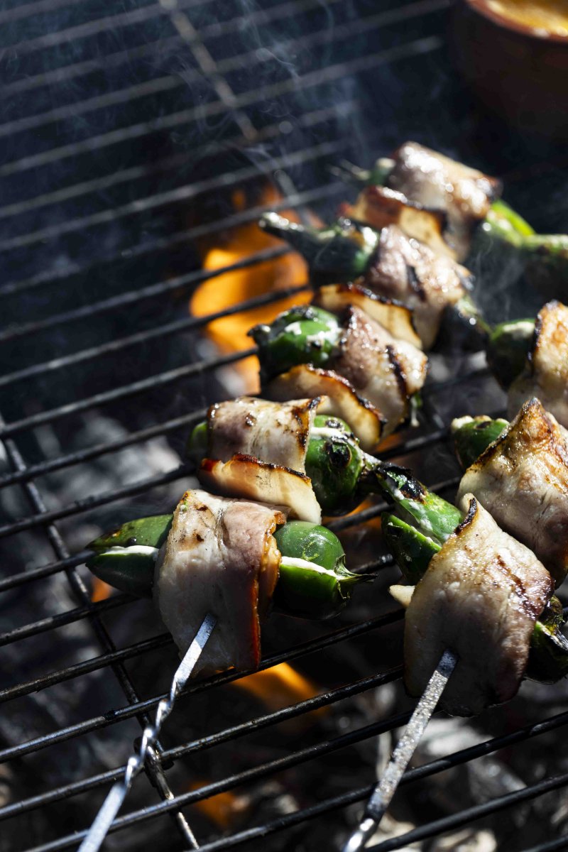 Samba Fire and BBQ, Natural Firelighters, Fire Starters, matches, gas ...