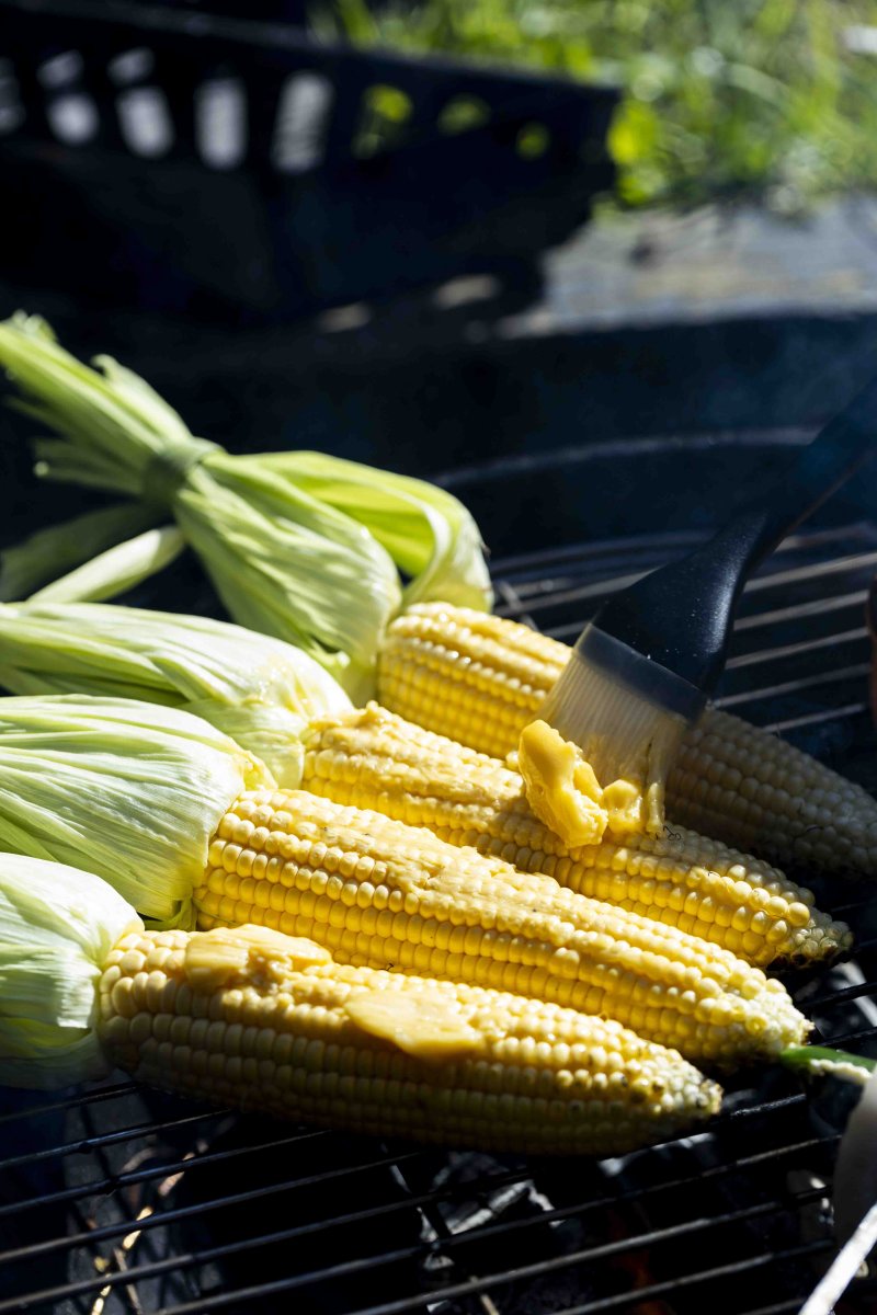Samba Fire and BBQ, Natural Firelighters, Fire Starters, matches, gas ...